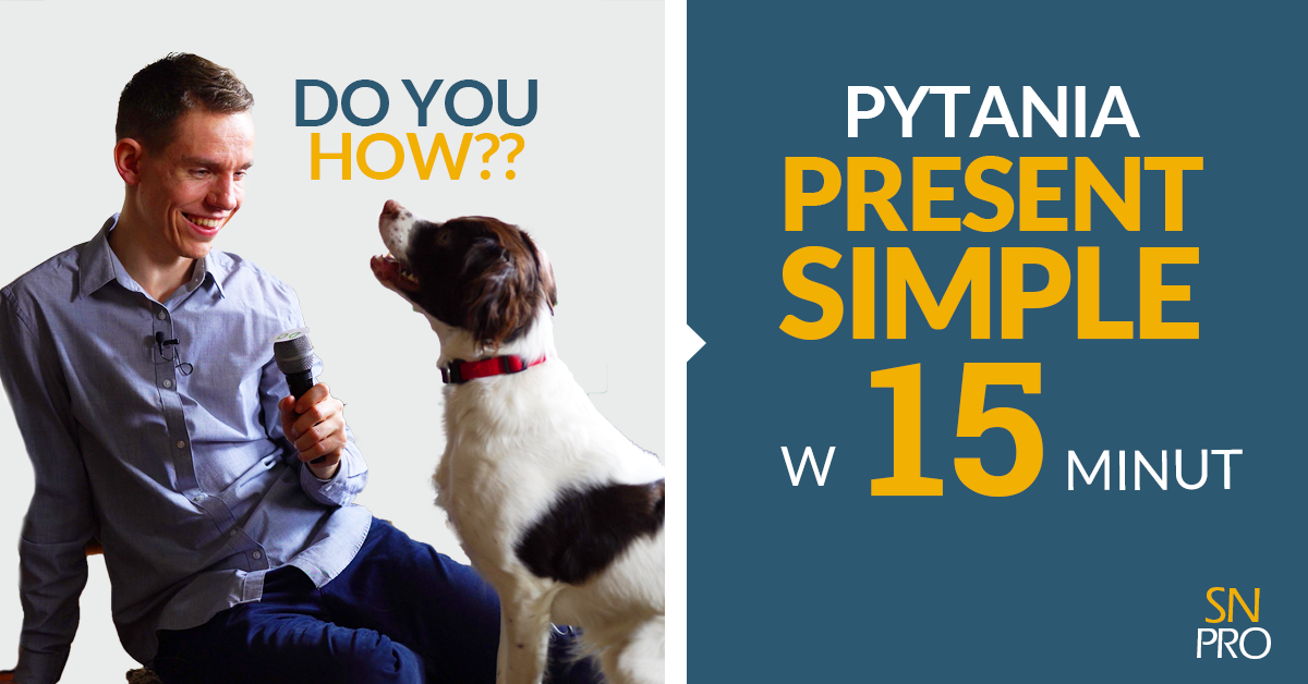 Present Simple pytania w 15 minut